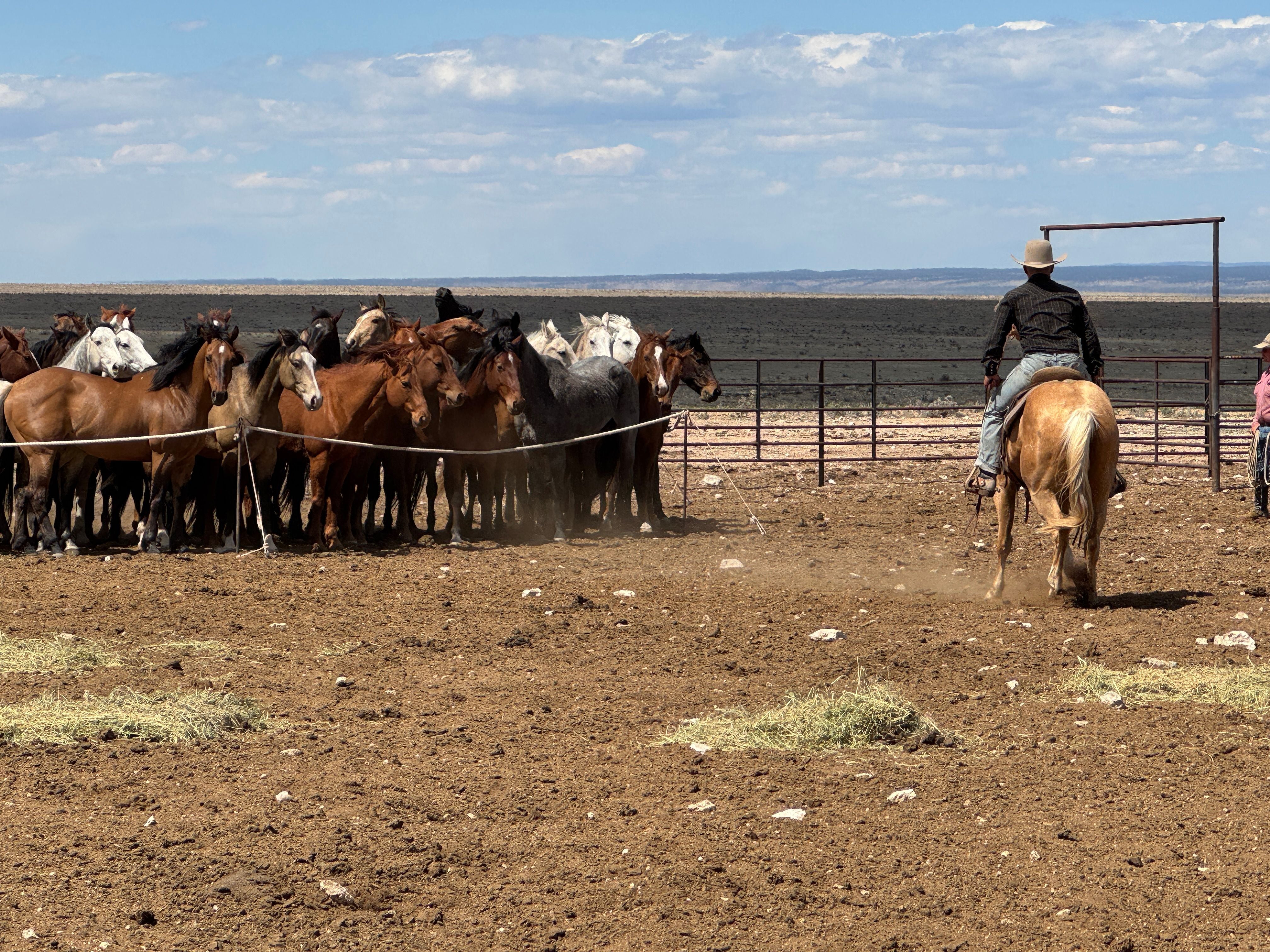 Cast Iron Cowboy Recipes - Diamond A – Kent Rollins